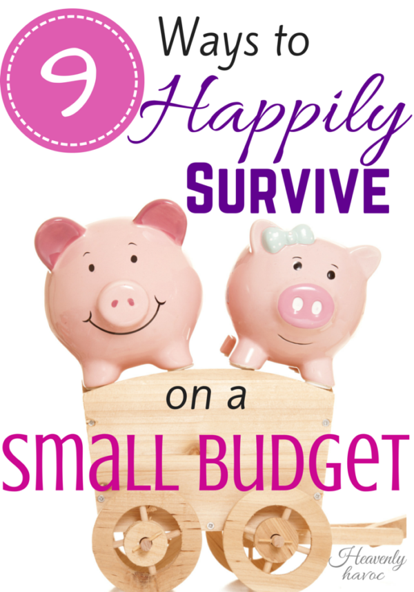 Ways To Happily Survive On A Small Budget - Living On A Budget