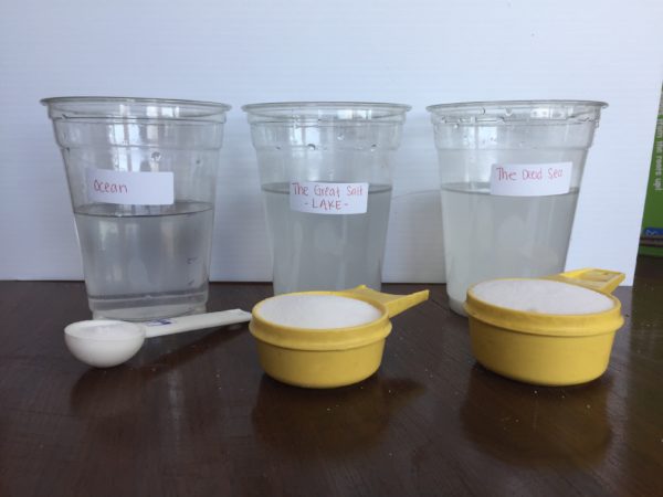 15 Fascinating Science Experiments for 7th Graders - Uplifting Mayhem