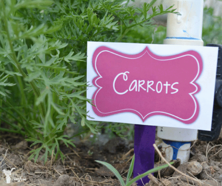 DIY Garden Labels - Uplifting Mayhem