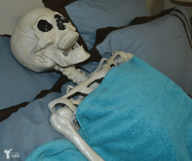 30 HILARIOUS "Elf on the Shelf" Ideas for your Halloween skeleton ...