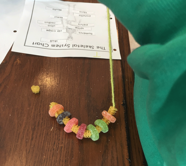 Make your own model backbone activity - Uplifting Mayhem