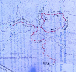 Hiking Peek-A-Boo Gulch and Spooky Gulch Slot Canyons In Escalante ...
