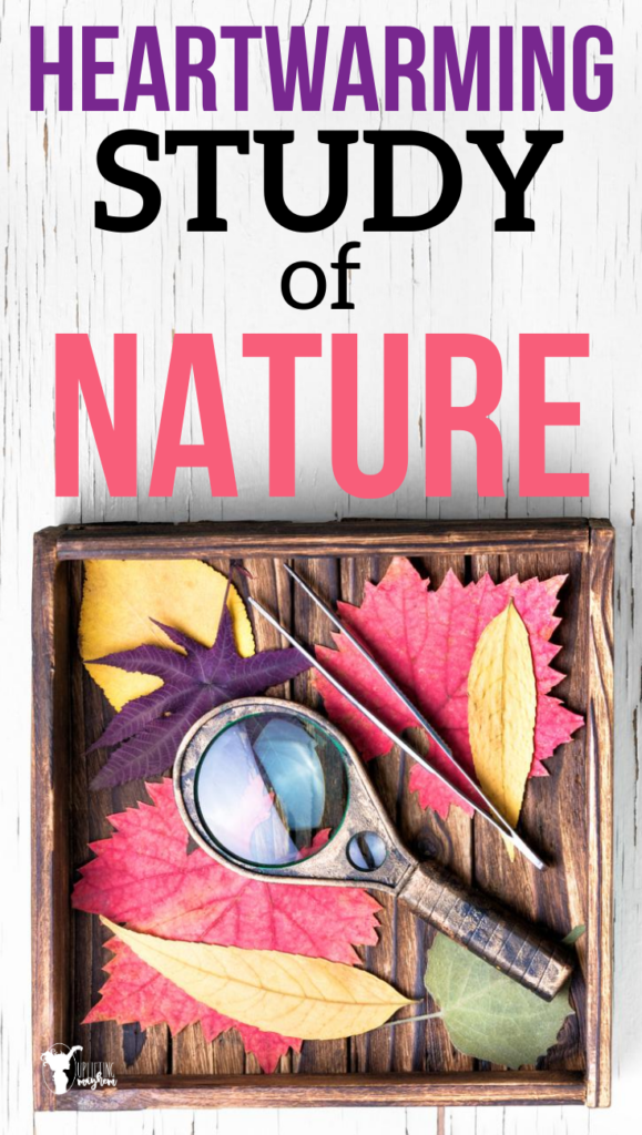 Heart Warming Study of Nature - Uplifting Mayhem