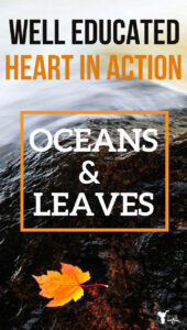 Well Educated Heart In Action: Oceans and Leaves - Uplifting Mayhem